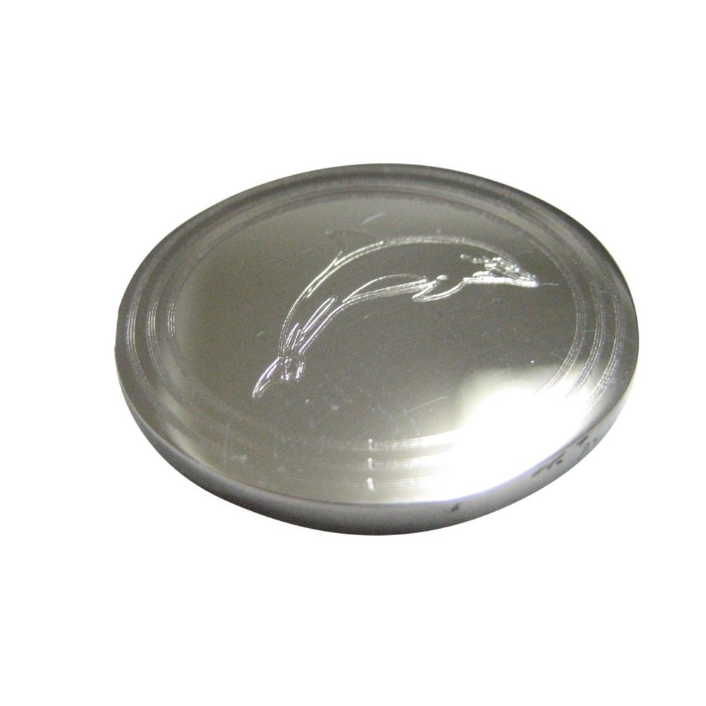 Silver Toned Oval Etched Dolphin Magnet - Gem